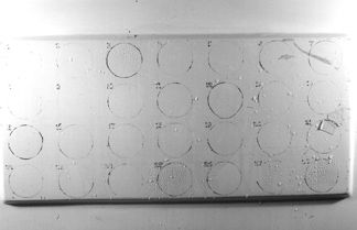 Wax Test Results - Practical Sailor