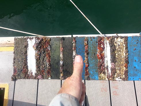 Barnacles Consume Test Panels at 18 Months - Practical Sailor
