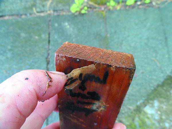 Products and Tips to Stop Wood Rot - Practical Sailor