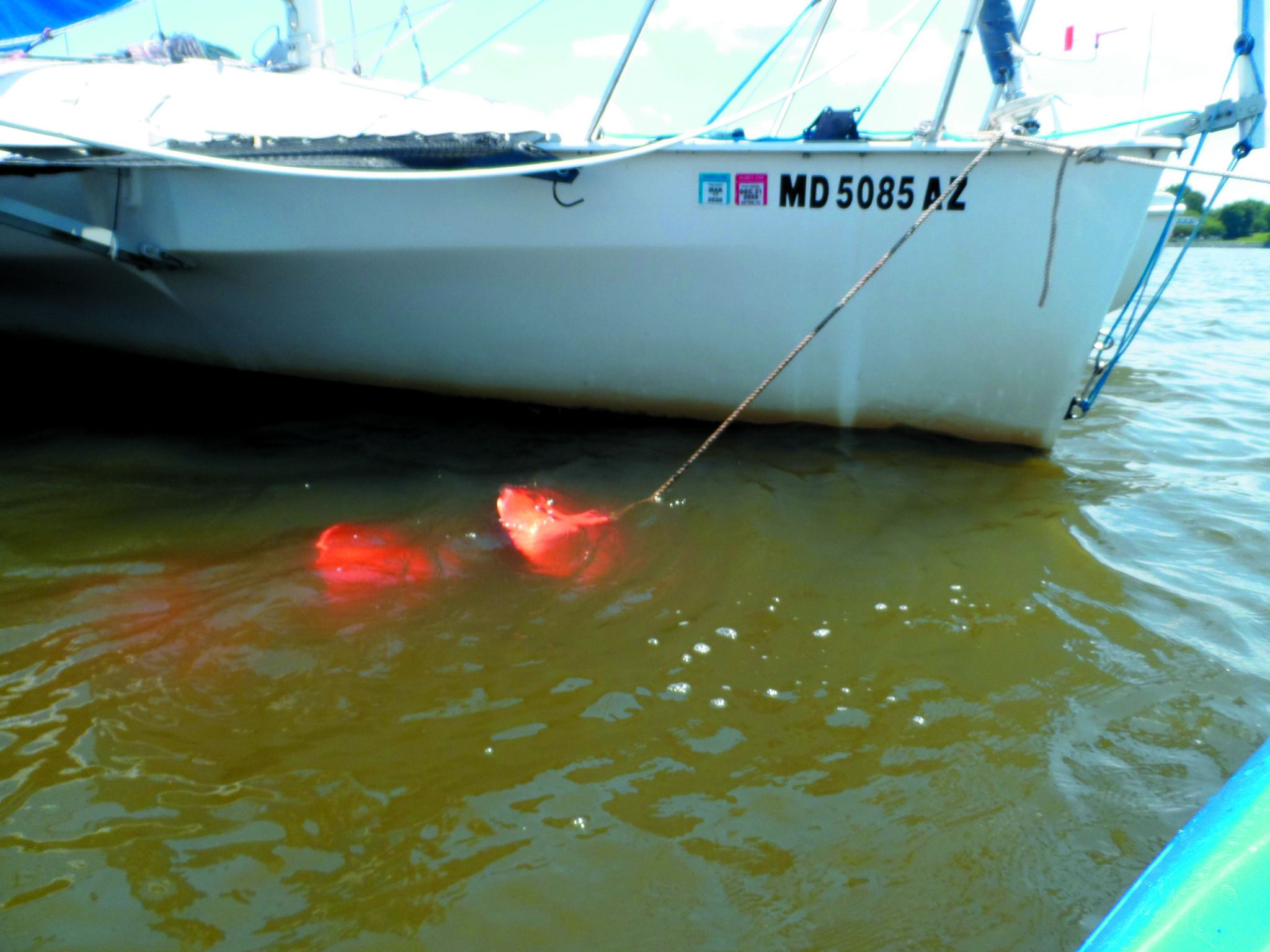 Drogues to Dampen Yaw - Practical Sailor